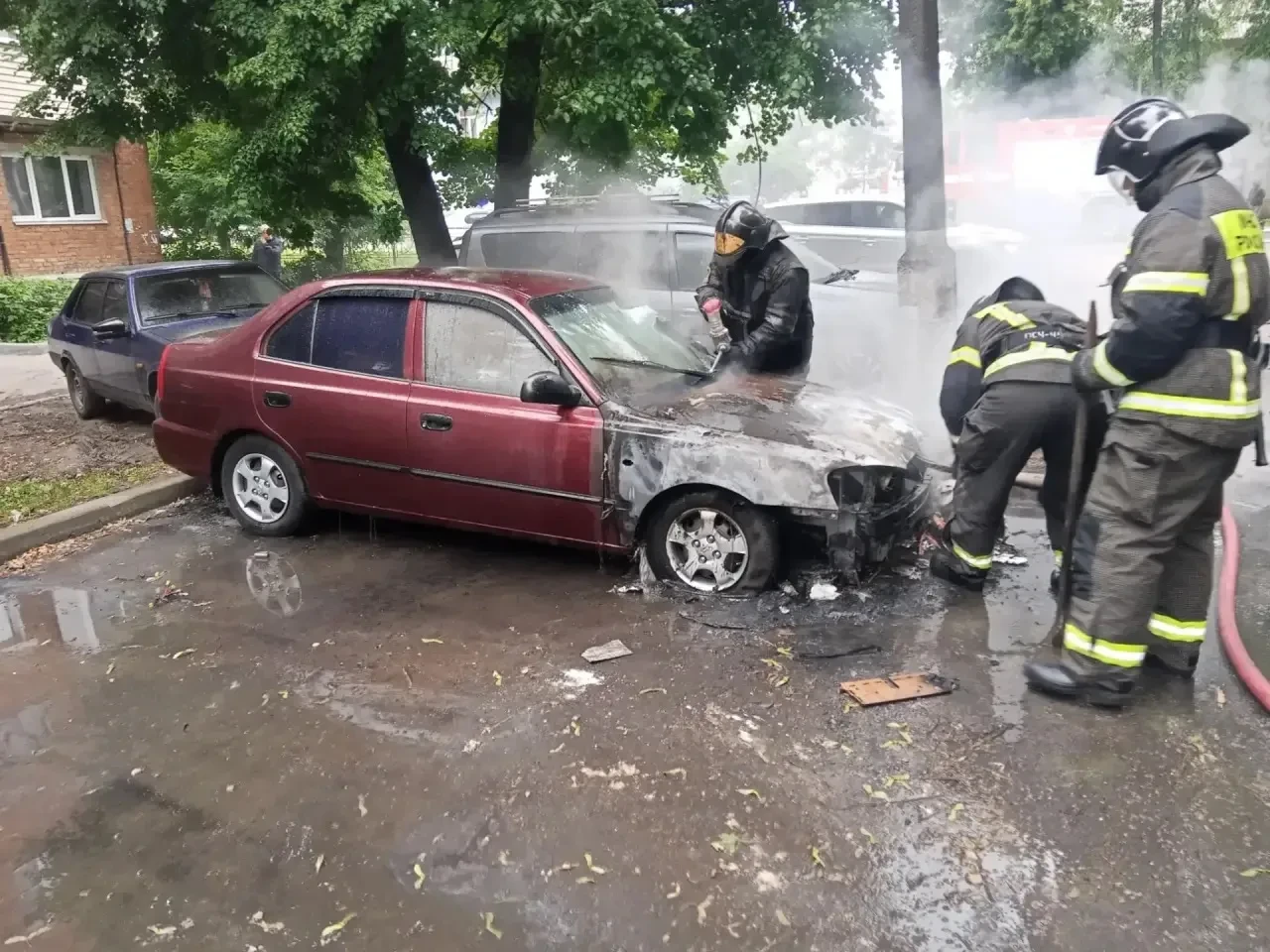 В Прокуратуре Подмосковья работает горячая линия для пострадавших от ...